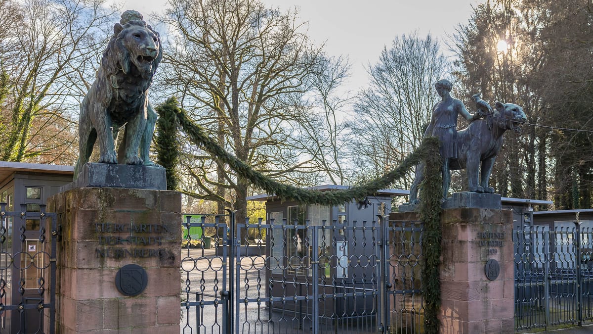 Tiergarten Nürnberg kehrt in Normalbetrieb zurück – keine Vogelgrippe