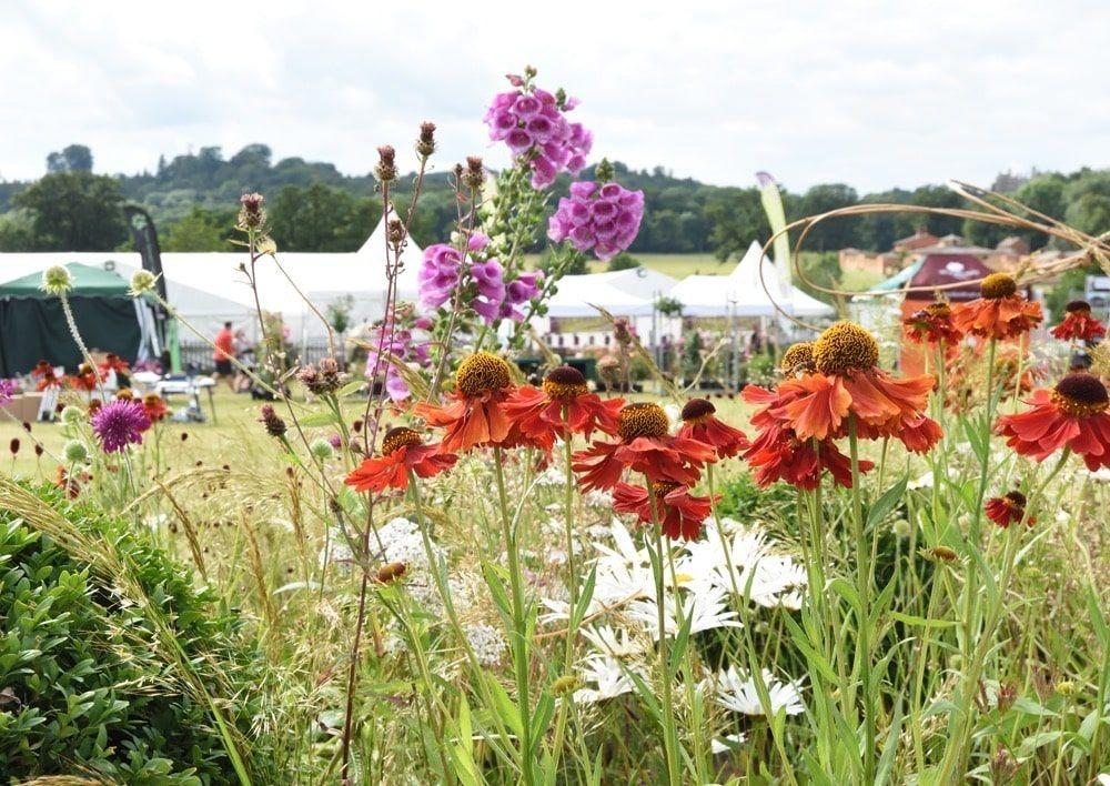 Famous gardening faces joining Belvoir Castle's Flower and Garden Show