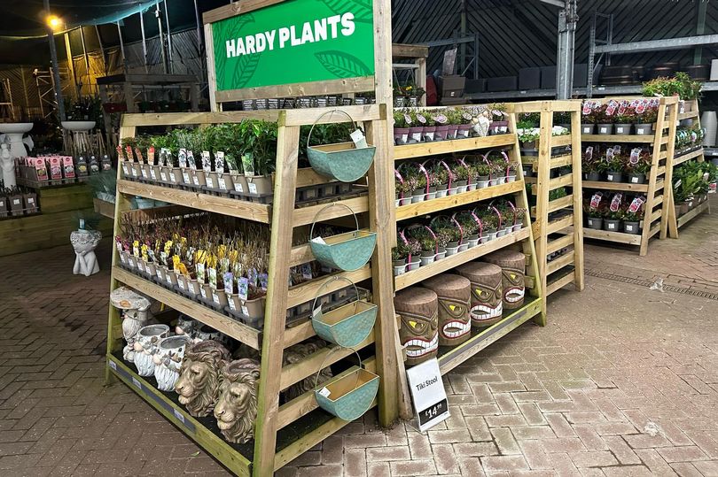 The Range opens new Surrey store in former Homebase - and it's dog friendly