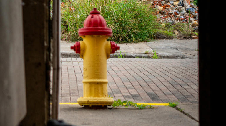 What Do Fire Hydrant Colors Mean?