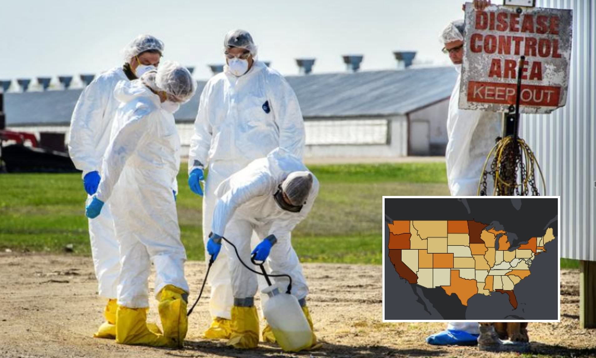 Fears of a 'super virus' in Nevada as researchers detect new pathogen