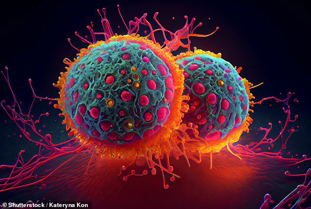 Cancer breakthrough as scientists discover 'switch', reverse disease Cancer breakthrough as scientists discover 'switch', reverse disease
