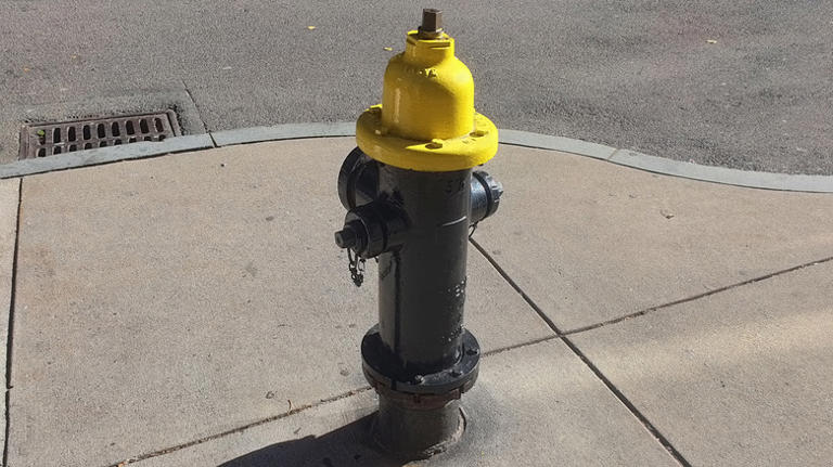 What Do Fire Hydrant Colors Mean?