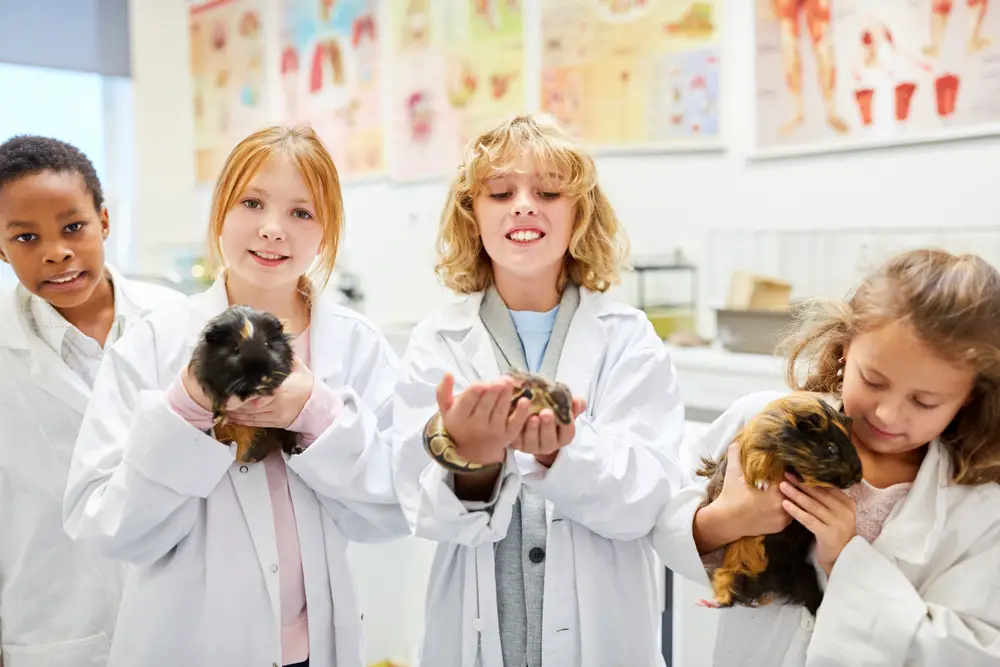 10 Reasons Our Class Pet Was the Most Exciting Part of School