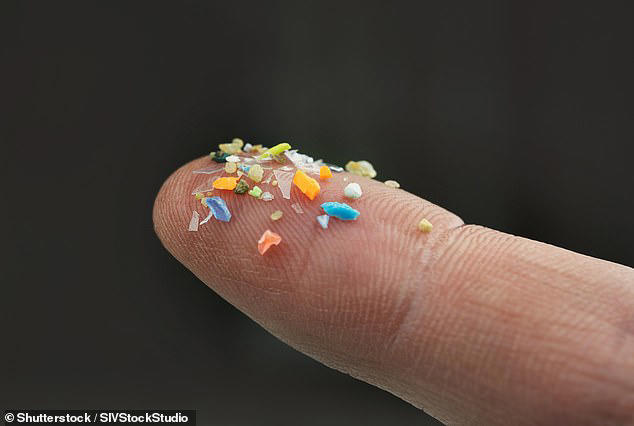 Scientists discover microplastics in Antarctica's most remote regions