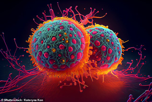 Cancer breakthrough as scientists discover 'switch', reverse disease