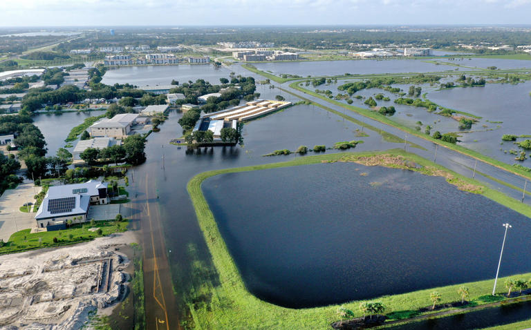Sarasota's Celery Fields: A birding paradise surrounded by growing ...