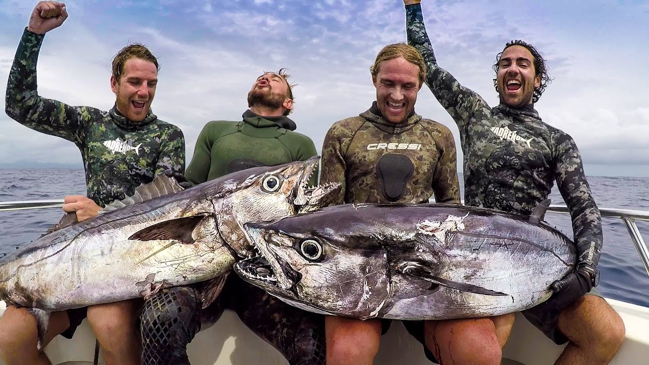 SPEARFISHING HUGE DOGTOOTH TUNA; B2B Pacific Tour(B2B Ep; 8)