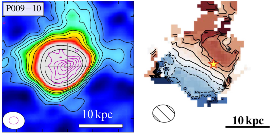 Flat Rotation Curves in Distant Galaxies Reveal High Dark Matter Content