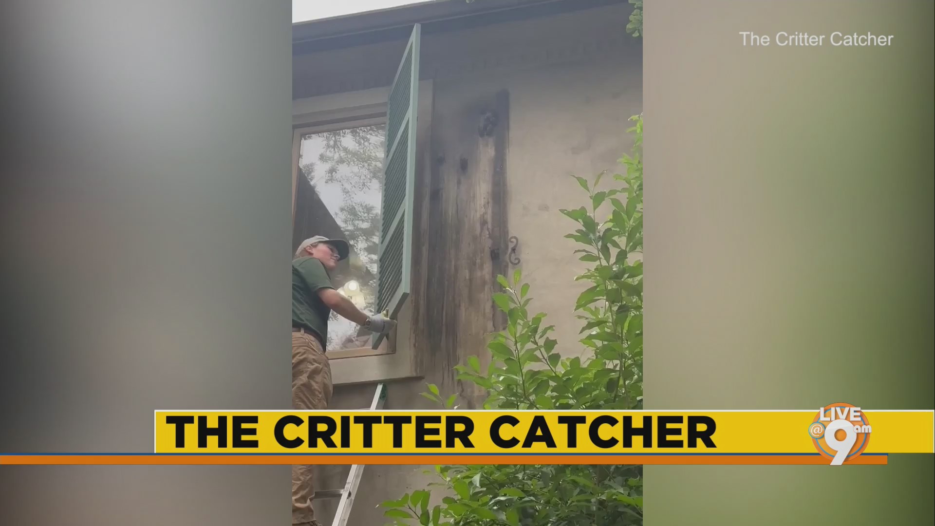 The Critter Catcher