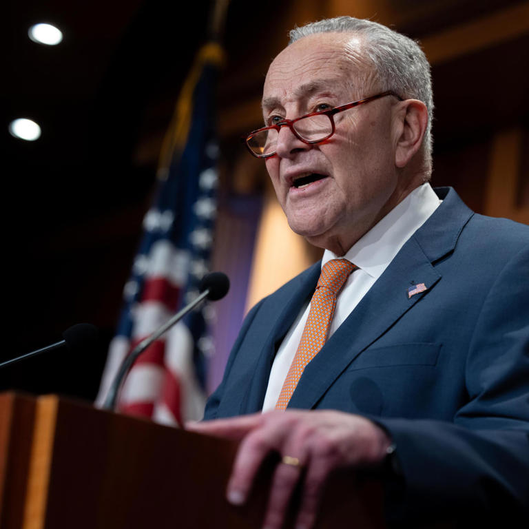 Schumer lays out Senate Democrats' strategy to push back against Trump