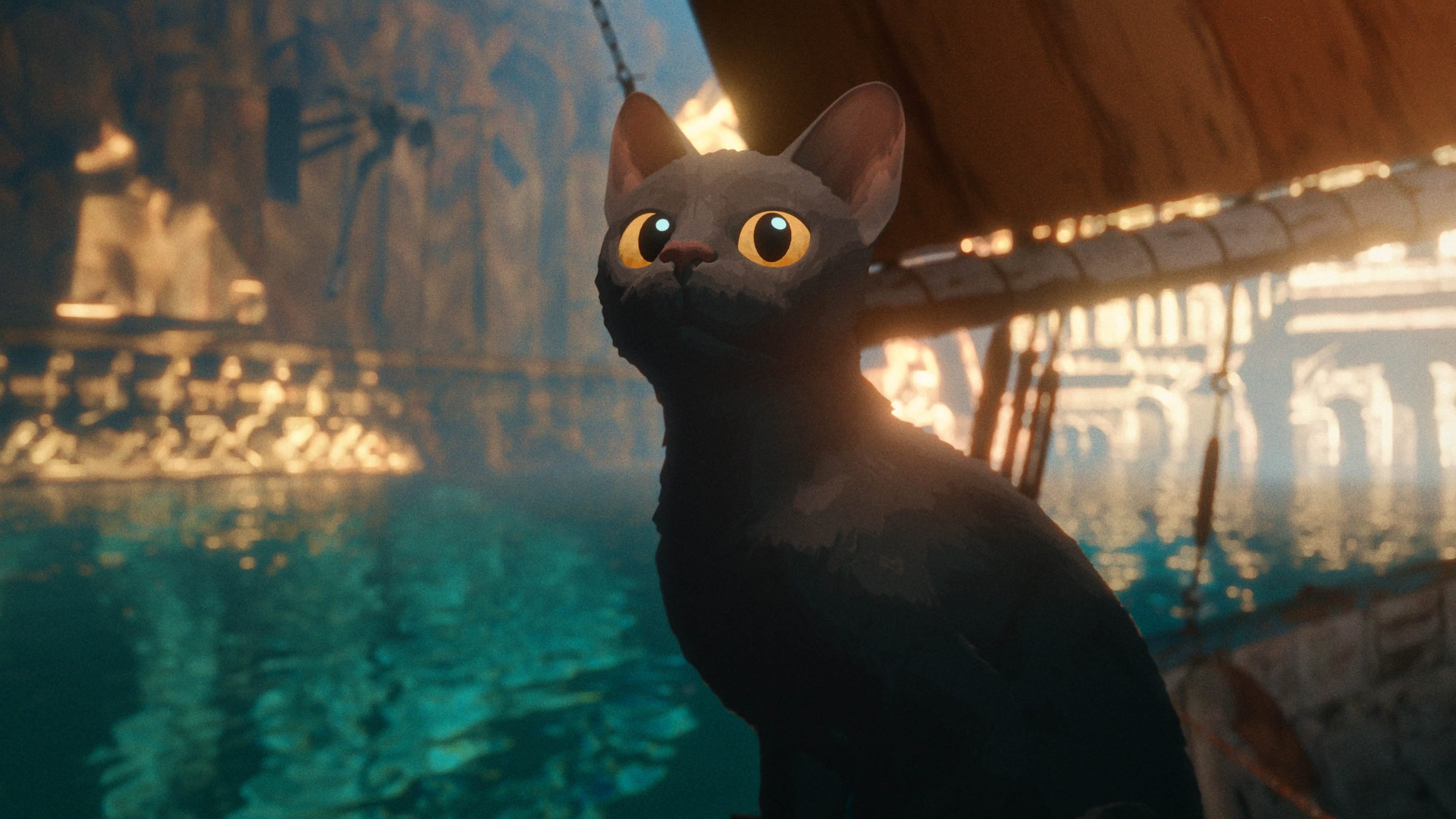 'Flow' to begin streaming on Max starting Valentine's Day