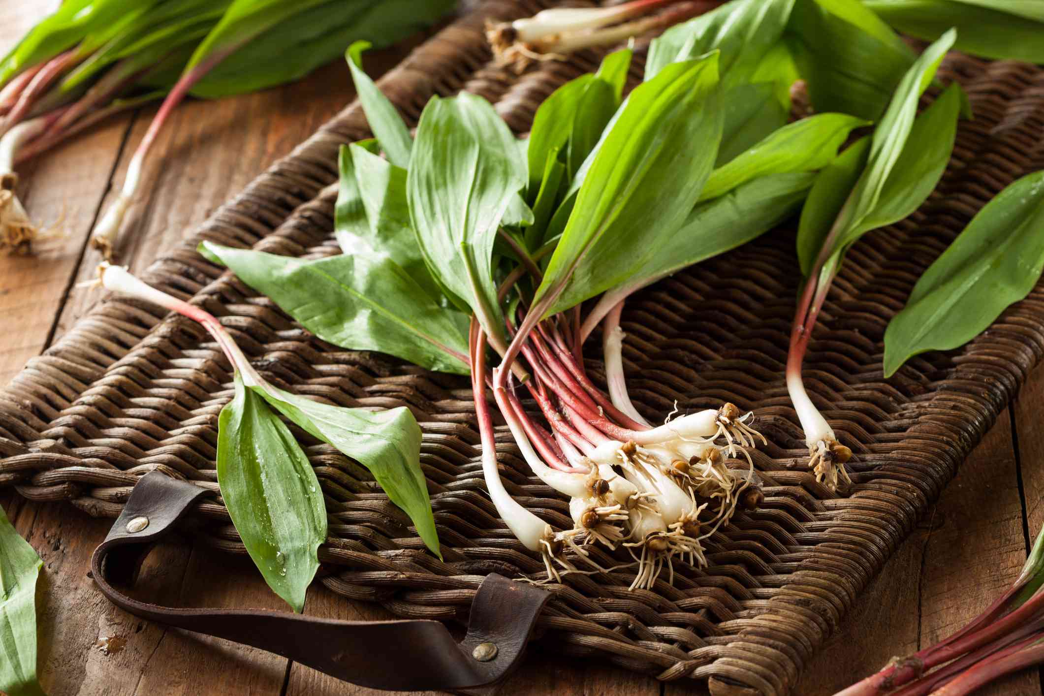 What Are Ramps And Why Are They So Popular?