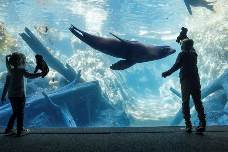 Omaha's Henry Doorly Zoo and Aquarium is offering a wild new deal