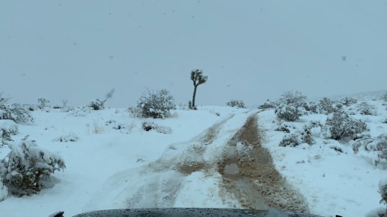 Snowfall in Joshua Tree National Park