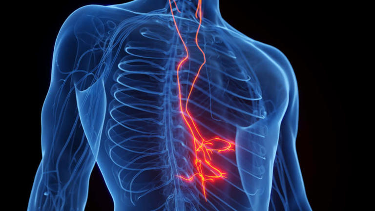 9 Fascinating Facts About the Vagus Nerve