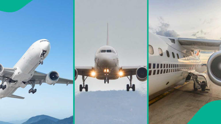 Miracle of seat 11A: 2 different plane crash survivors say they sat in ...