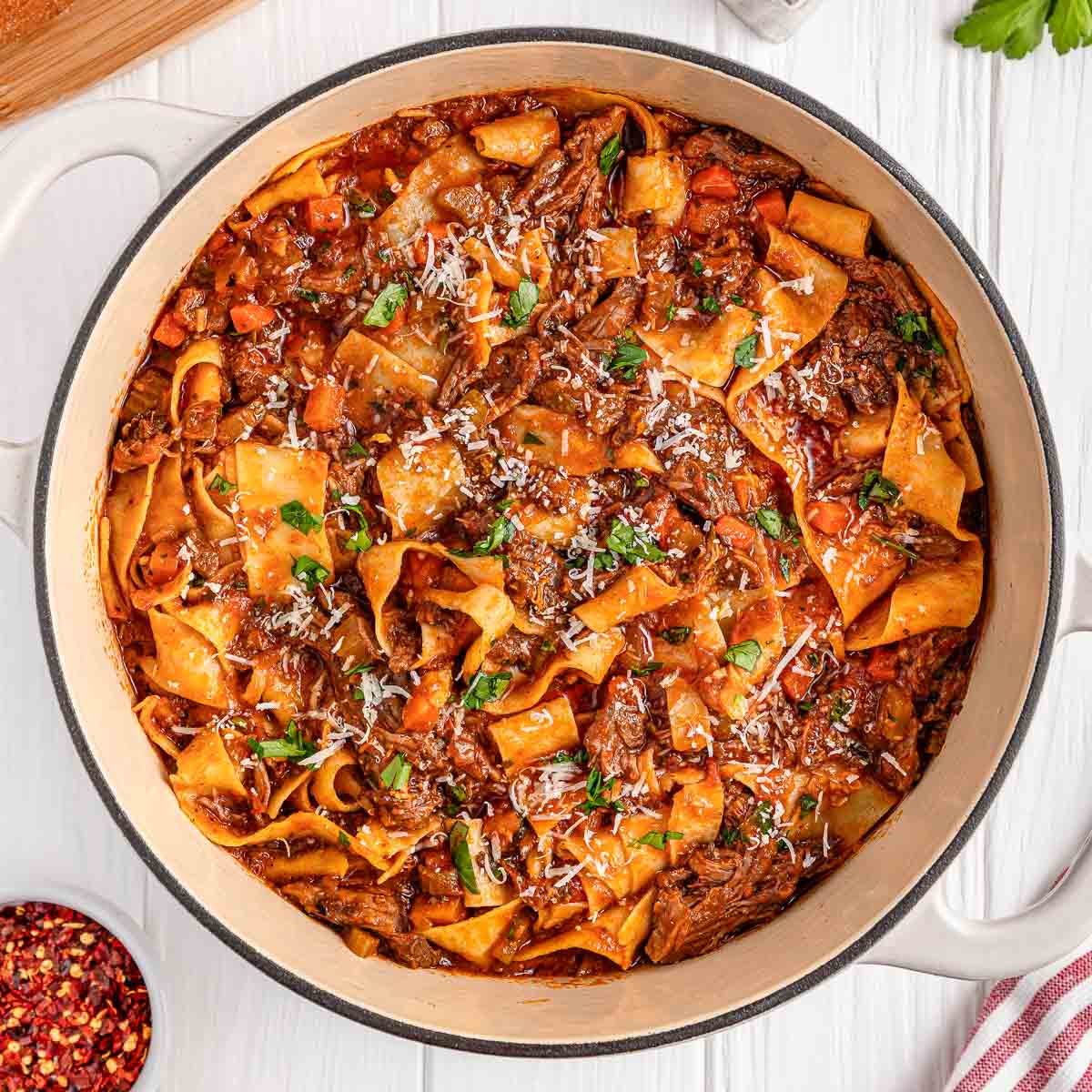 Short Rib Ragu