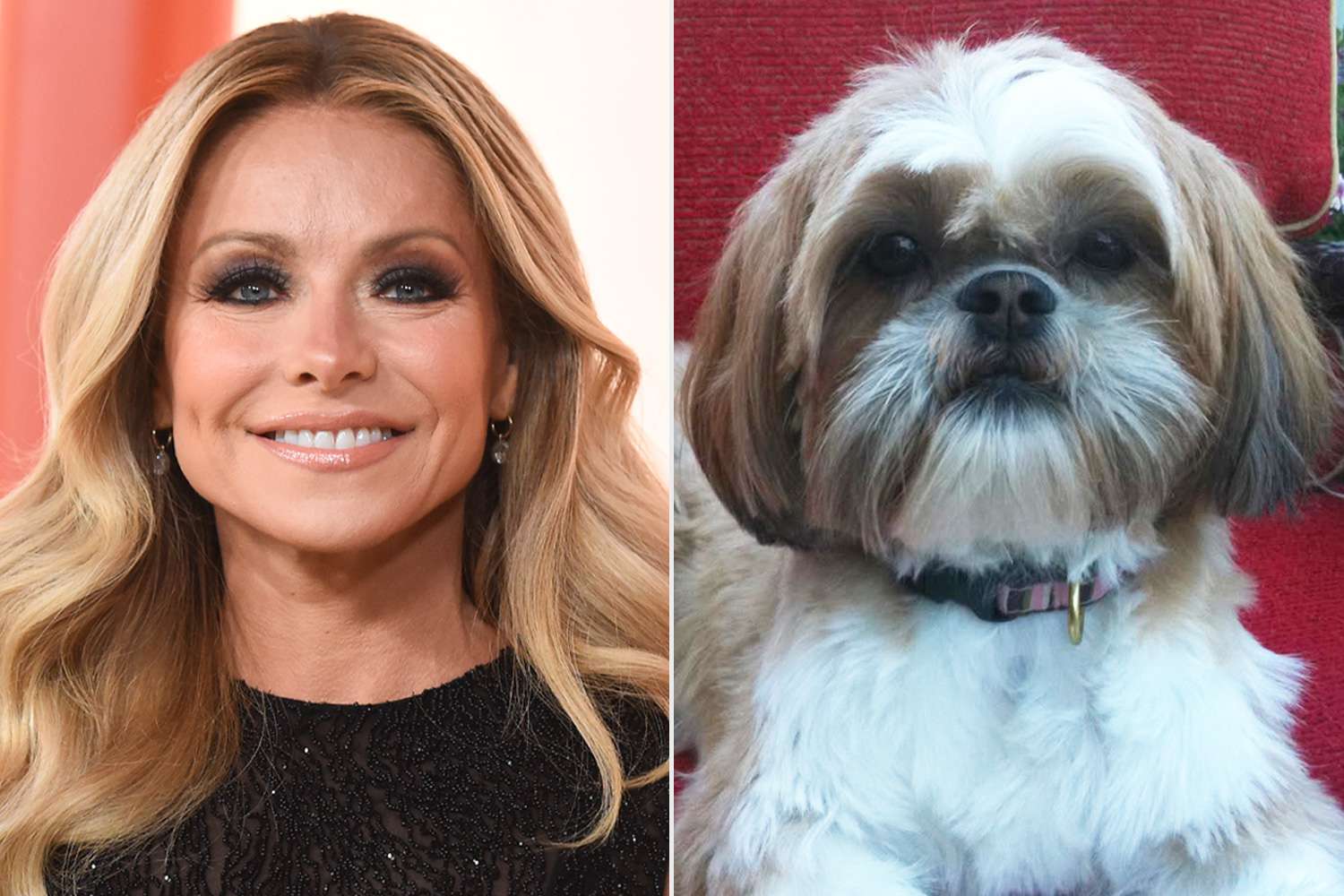 Kelly Ripa Admits She's 'Still Not Over' the Death of Her Dog Chewie as ...