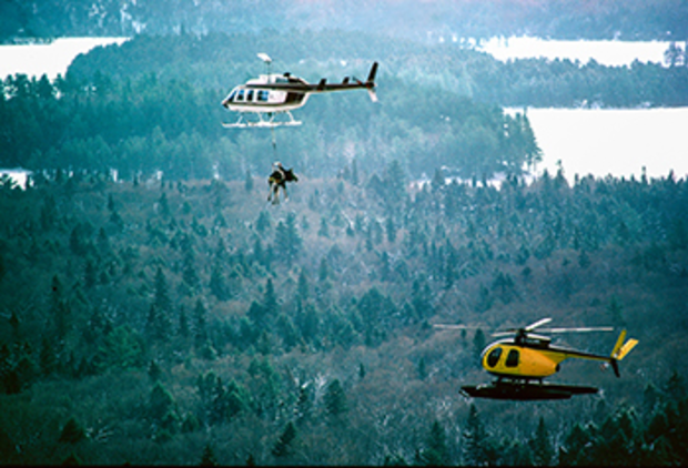 Michigan DNR scientists step up research efforts on moose population in ...