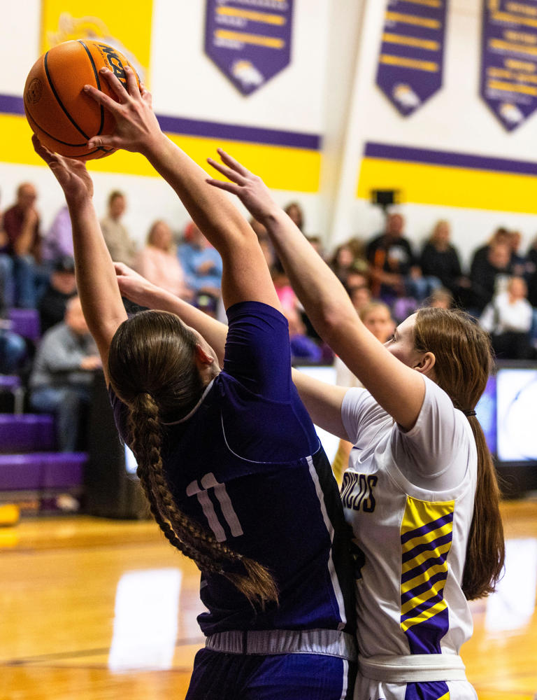 Basketball, wrestling, bowling and swimming: updated Rockford playoff ...