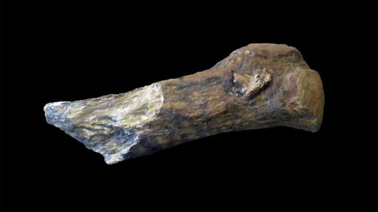 8 Ancient Archaeological Sites That Pre-Date the Clovis People