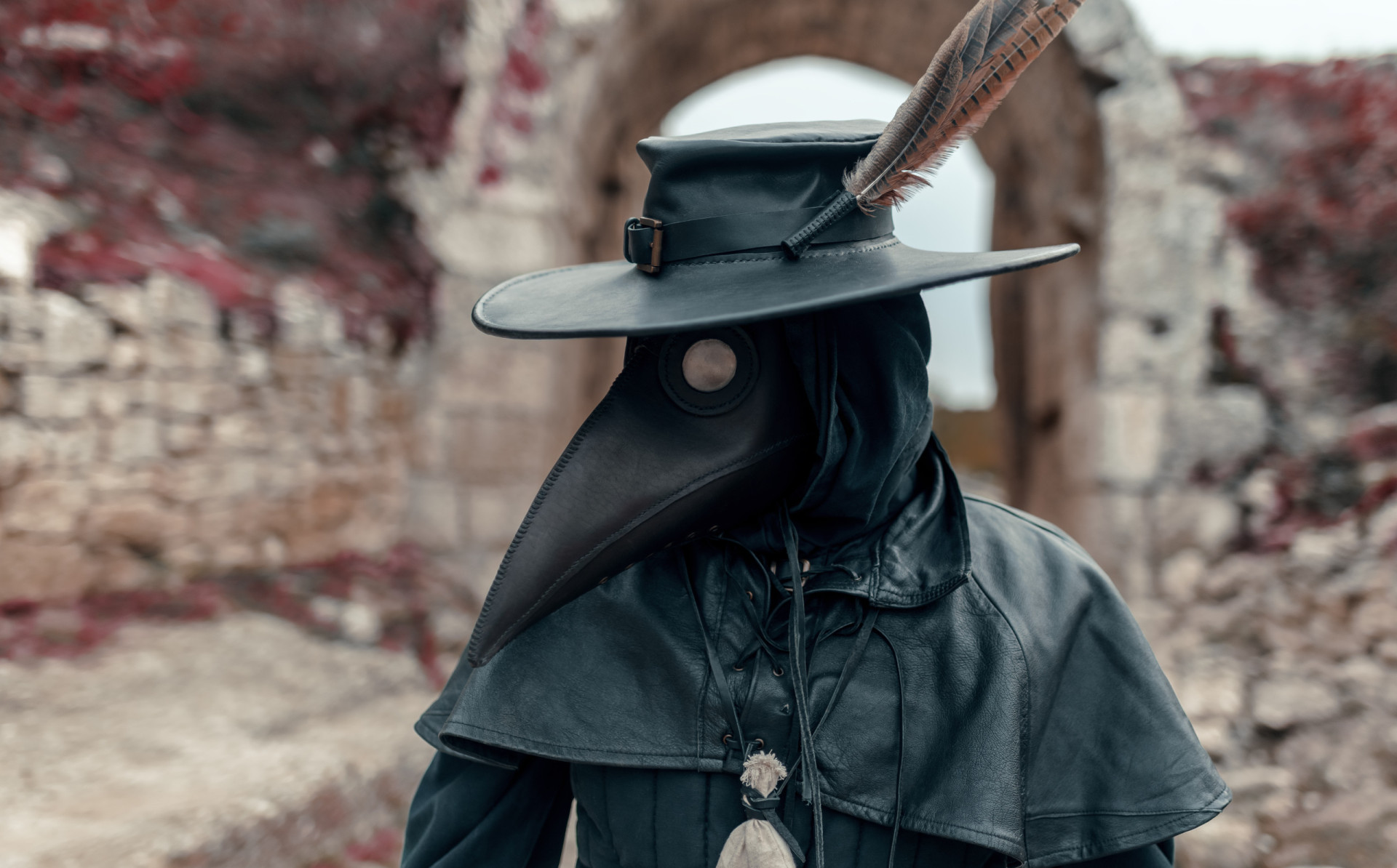 How the bubonic plague (Black Death) devastated Europe and Asia