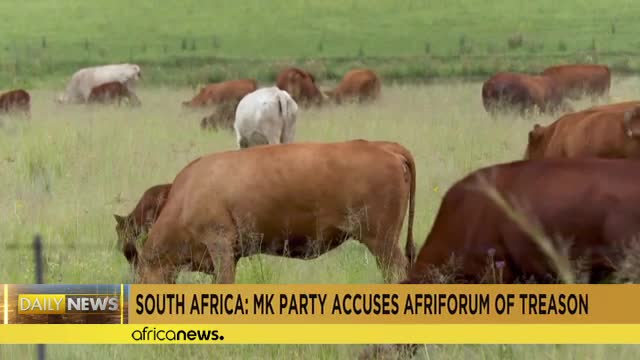 Expropriations : le parti de Zuma porte plainte contre l'AfriForum