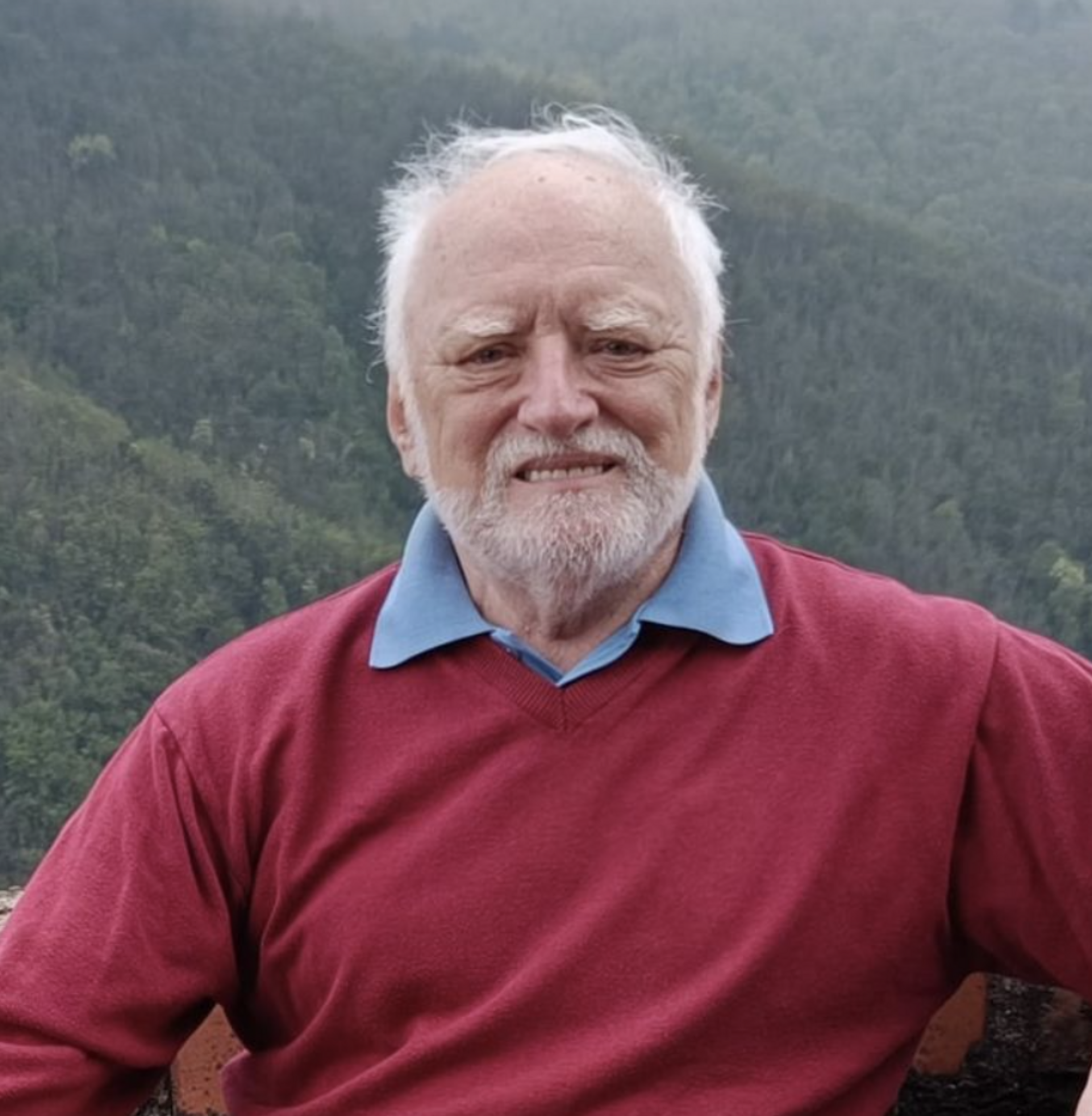 20 people who became internet famous from memes