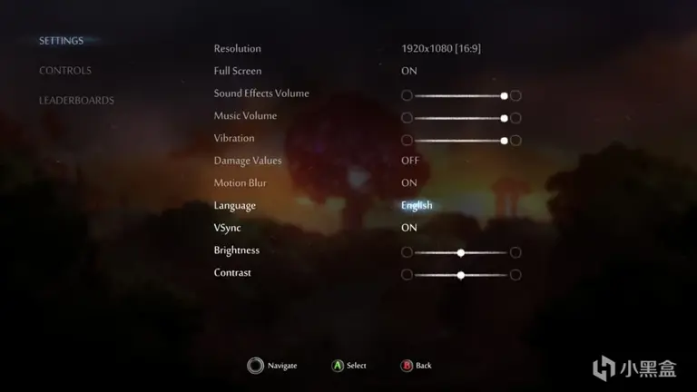 Dolphins, Aliens, LSD: Encountering John Lilly and a Changing America ...