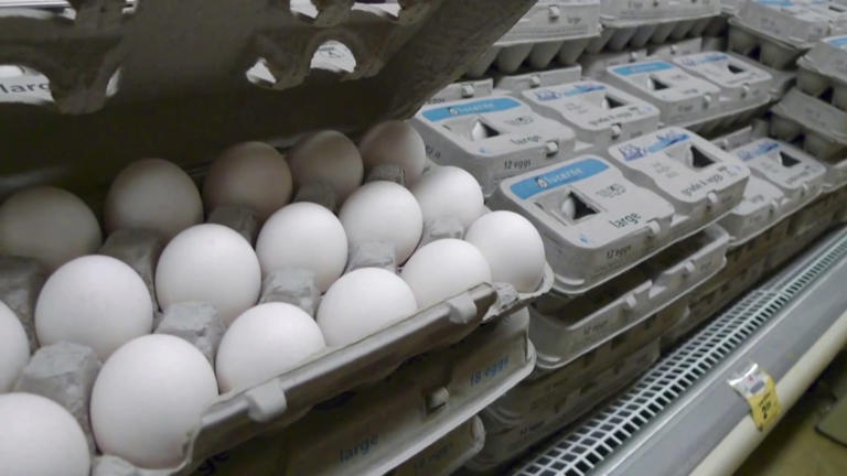 Understanding egg labels: What do ‘free range and ‘natural' really mean?