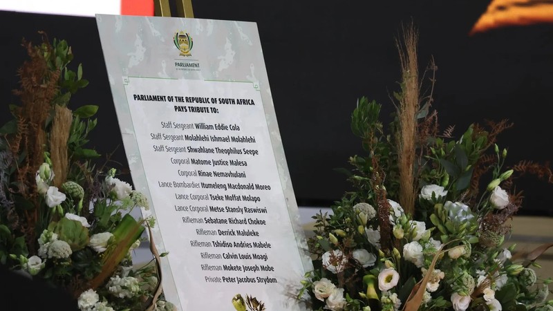 Holomisa's DRC probe call receives support