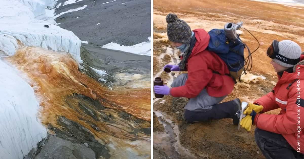 A 'Blood Waterfall' Has Been Flowing in Antarctica for Centuries and ...