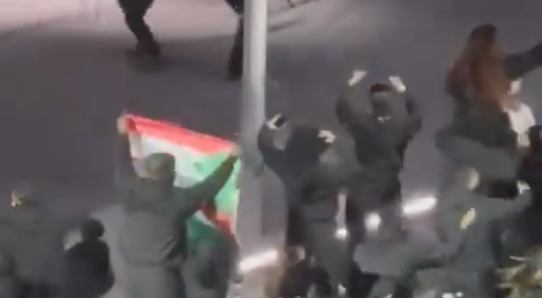 Protester displays Palestinian and Sudanese flags during Super Bowl ...