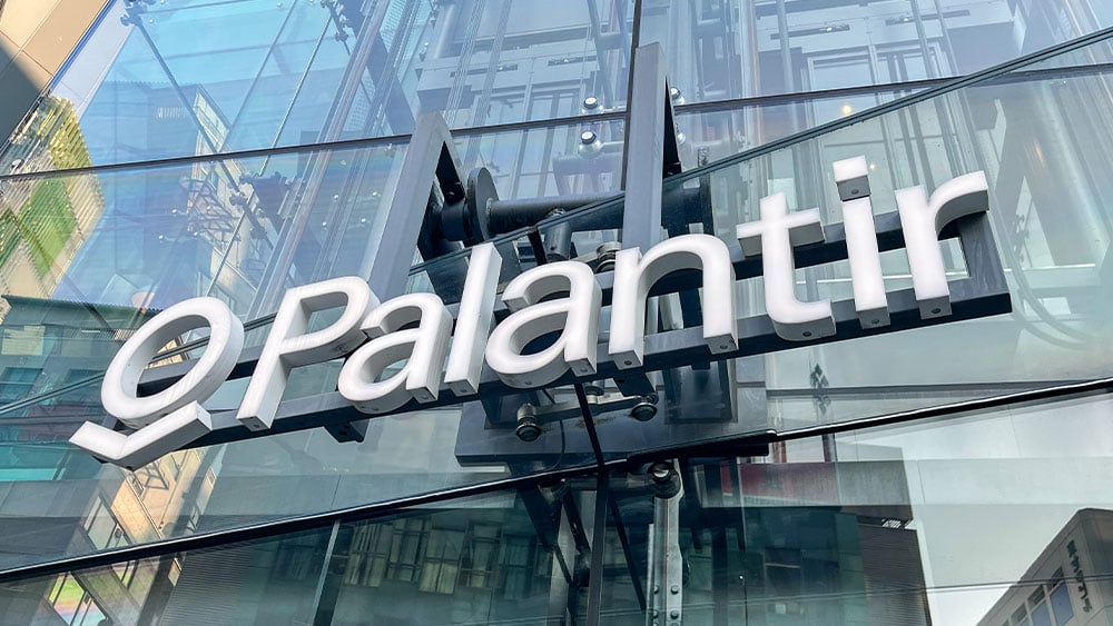 Palantir Evades DOGE Fallout As Federal Contractor Booz Allen Hammered