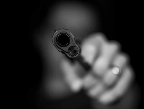 Illinois Judge Strikes Down FOID Card Mandate For Home Gun Ownership In ...