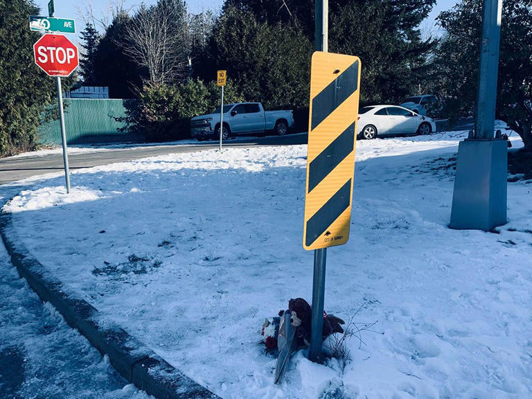 Iio Investigating Death Of Surrey High Schooler In Confrontation With Mounties 2572