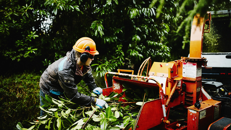 Safety Tips For Your Wood Chipper Rental You Need To Know