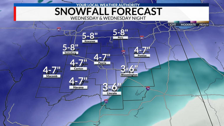 DoveLewis unveils expanded facility to better serve pets and families