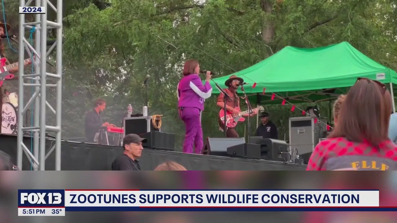 Woodland Park Zoo announces 2025 ZooTunes lineup