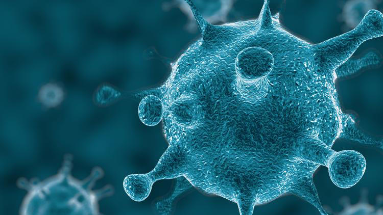 California flu activity at 'very high' level, experts warn