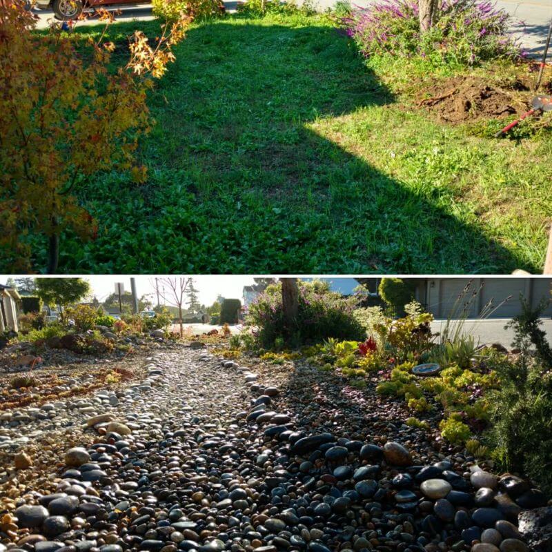 Homeowner showcases stunning before-and-after photos of garden ...