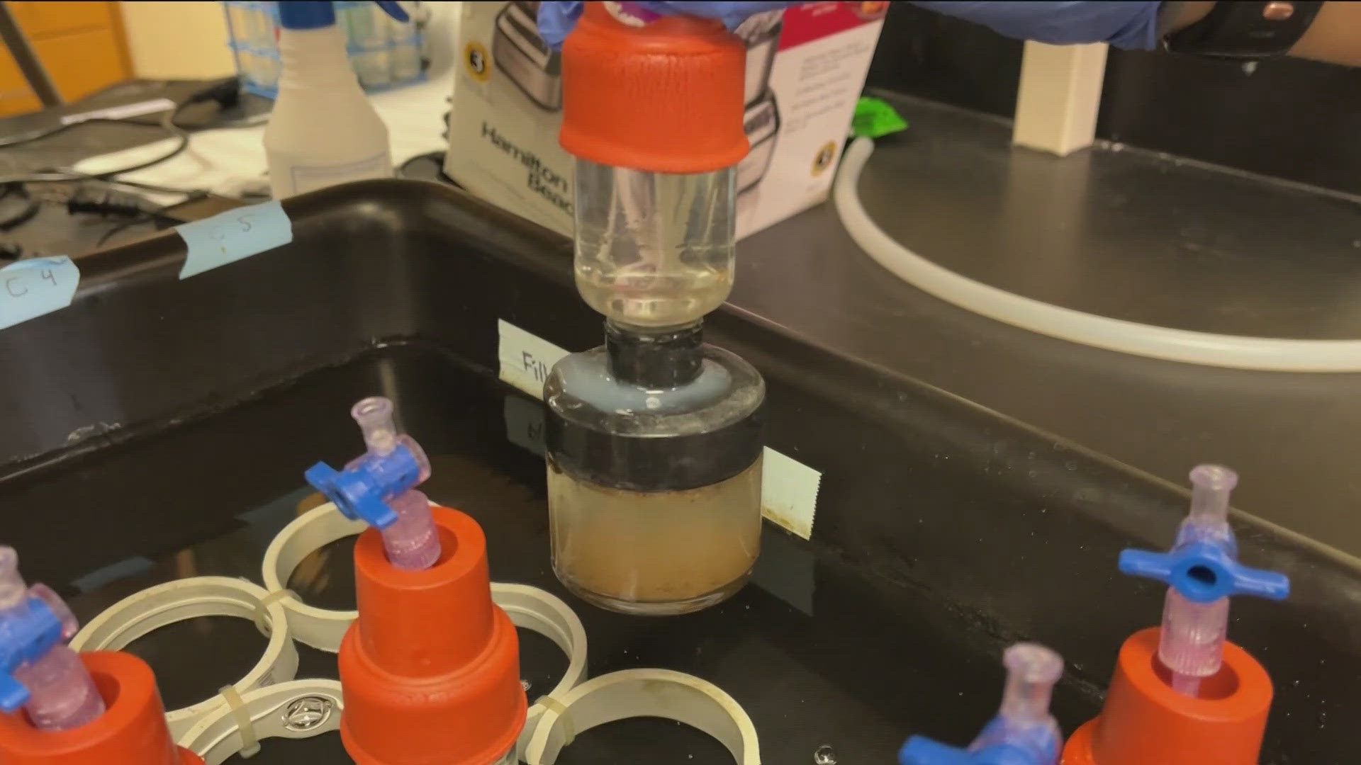 From brew to biofuel: University of San Diego students transform beer ...