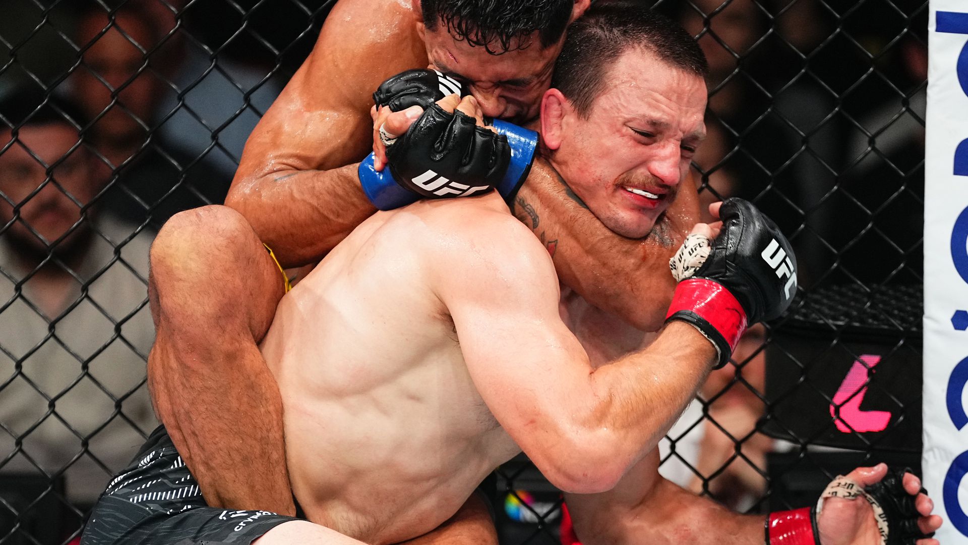 Jack Jenkins hospitalized following UFC 312 with throat injury