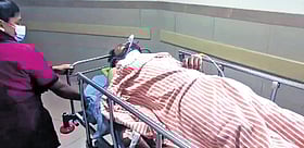 Jumbo herds sow panic in Kochi's Ayyampuzha