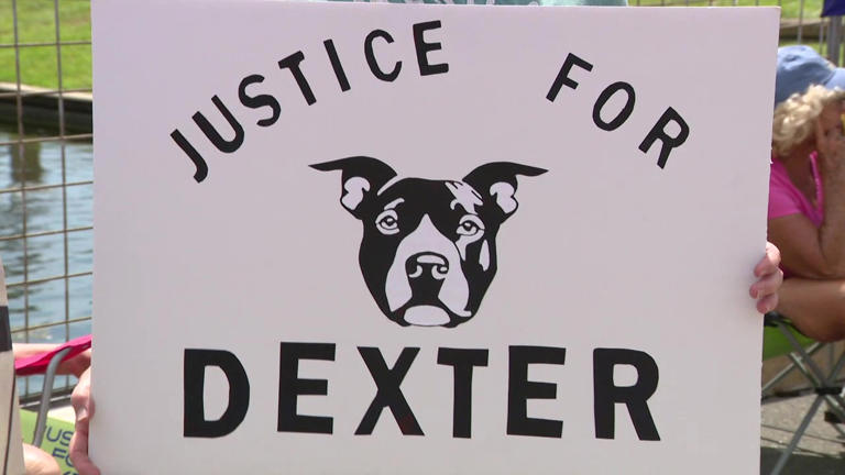 Fight for 'Dexter's Law' heads to Tallahassee