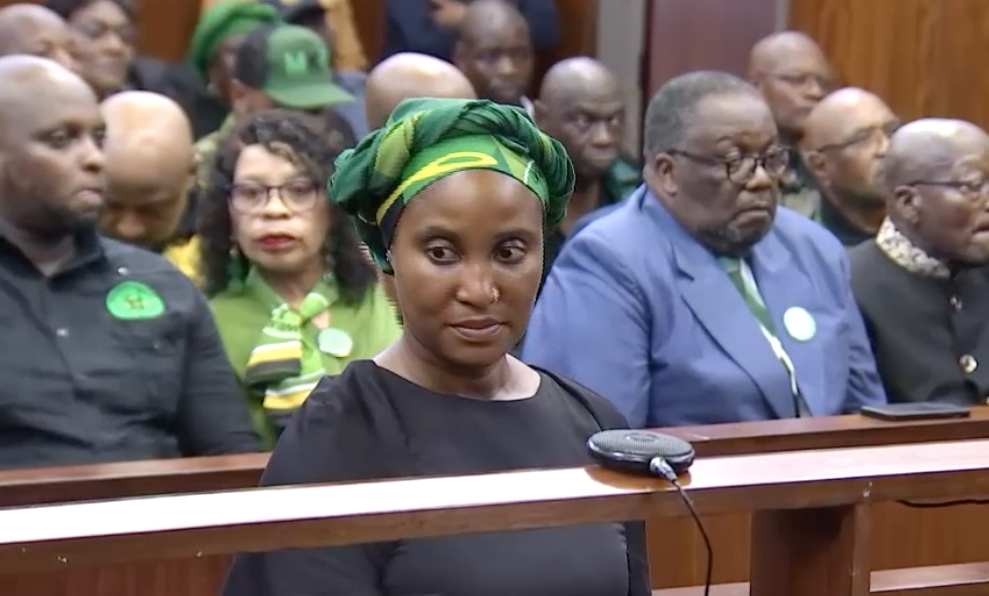 Duduzile Zuma-Sambudla’s trial begins