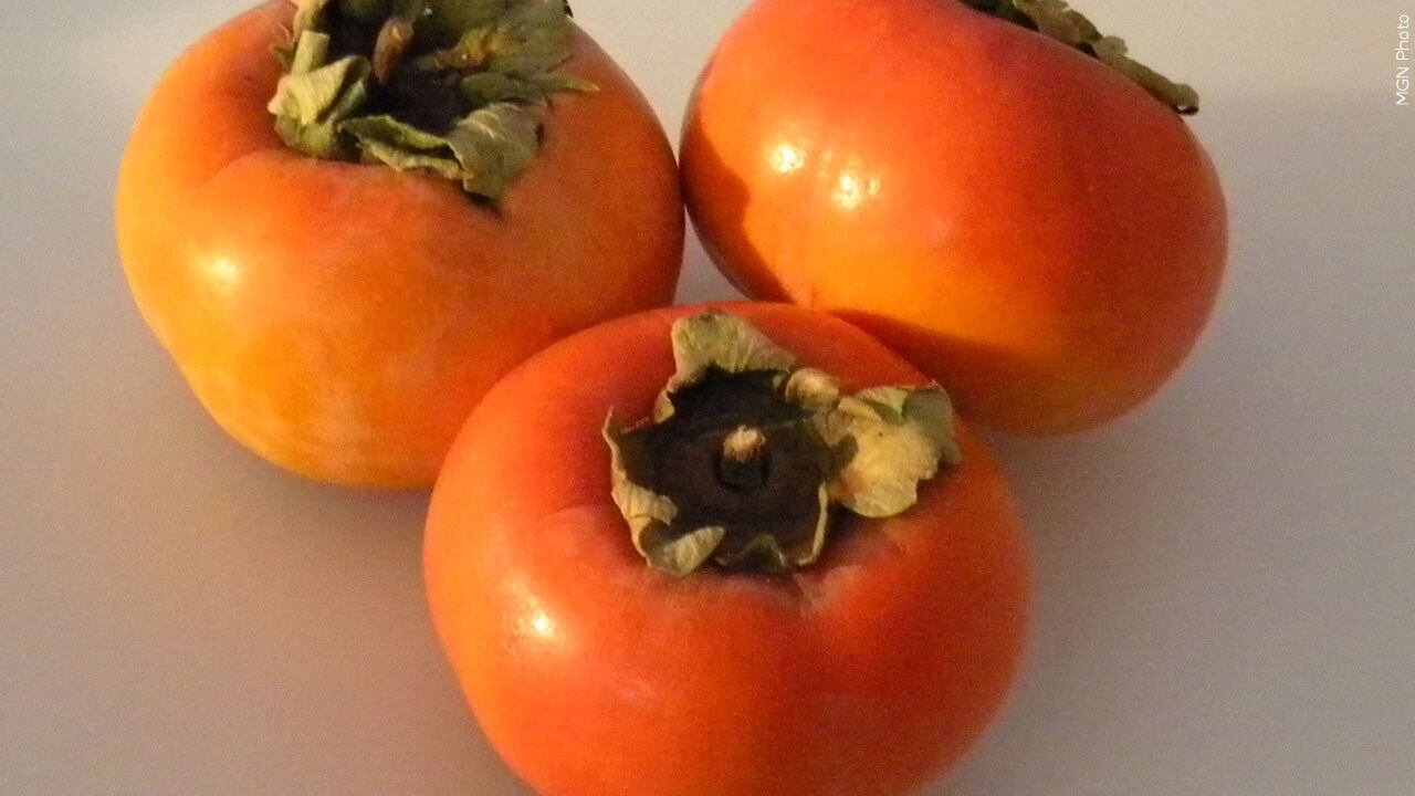 Indiana fourth graders push for state fruit at statehouse