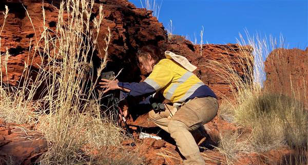 Free to fly: Fortescue to take control of Red Hawk Mining after ...