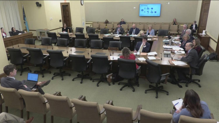 New Minnesota House committee on fraud prevention begins work